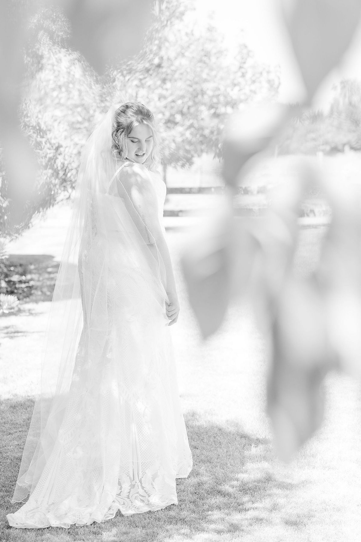 Engagement & Wedding