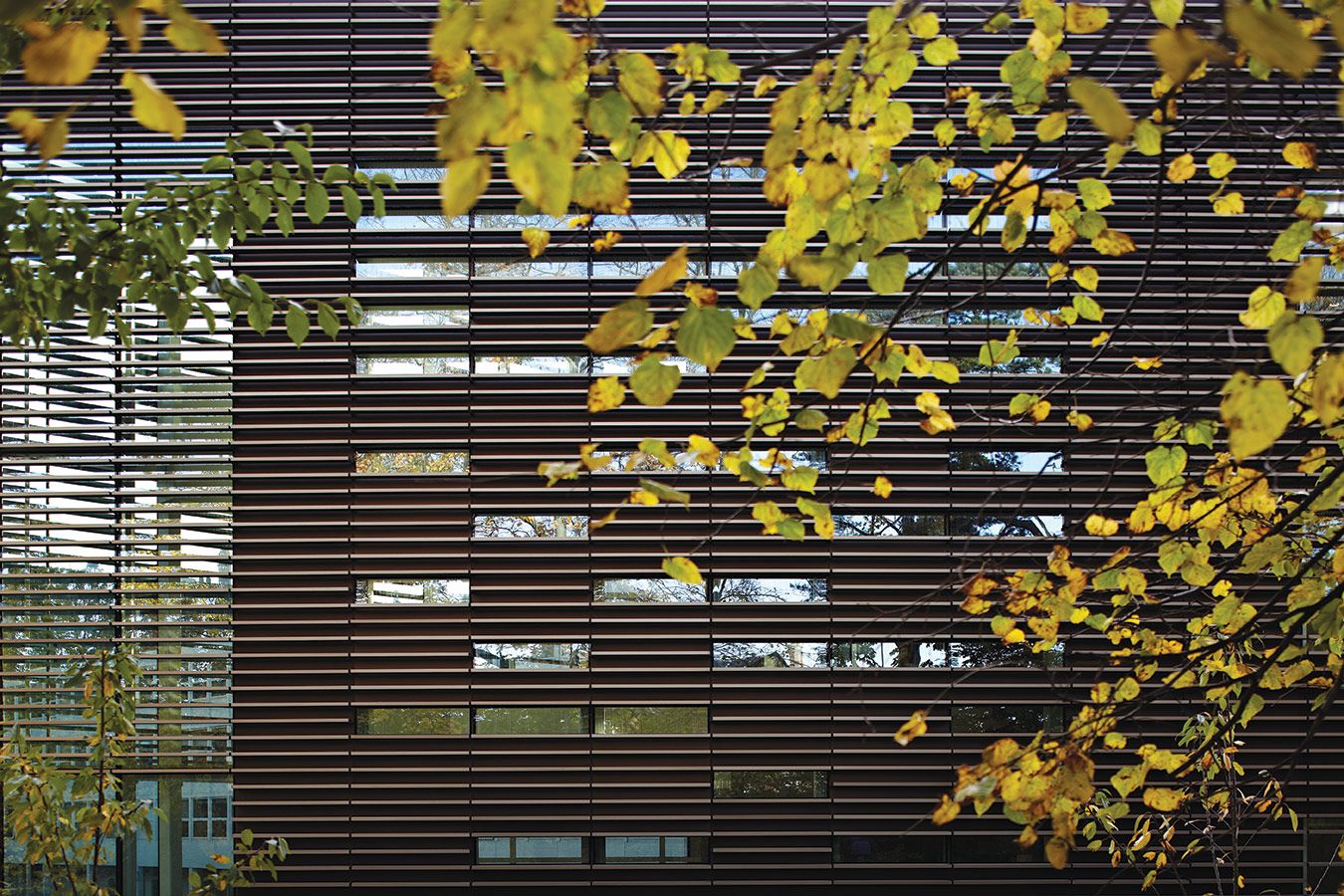 Zander :: Architecture