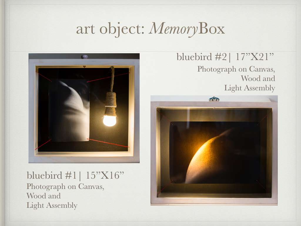 Contemporary Art Photography based installations