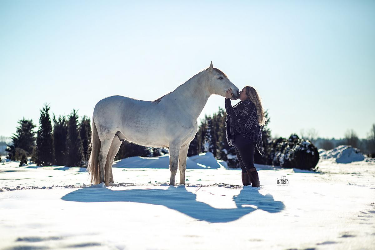 Sneeuw fotoshoot met paard