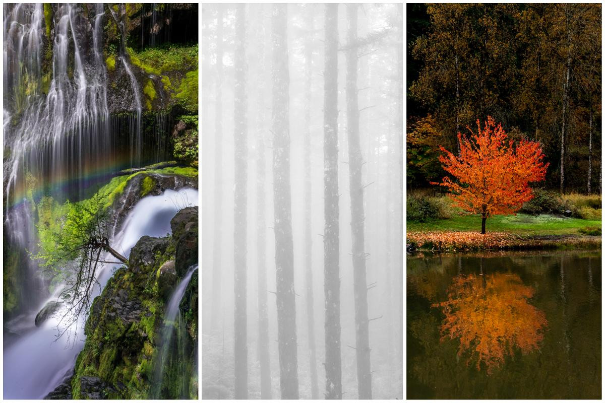 5 Tips for Aspiring Photographers