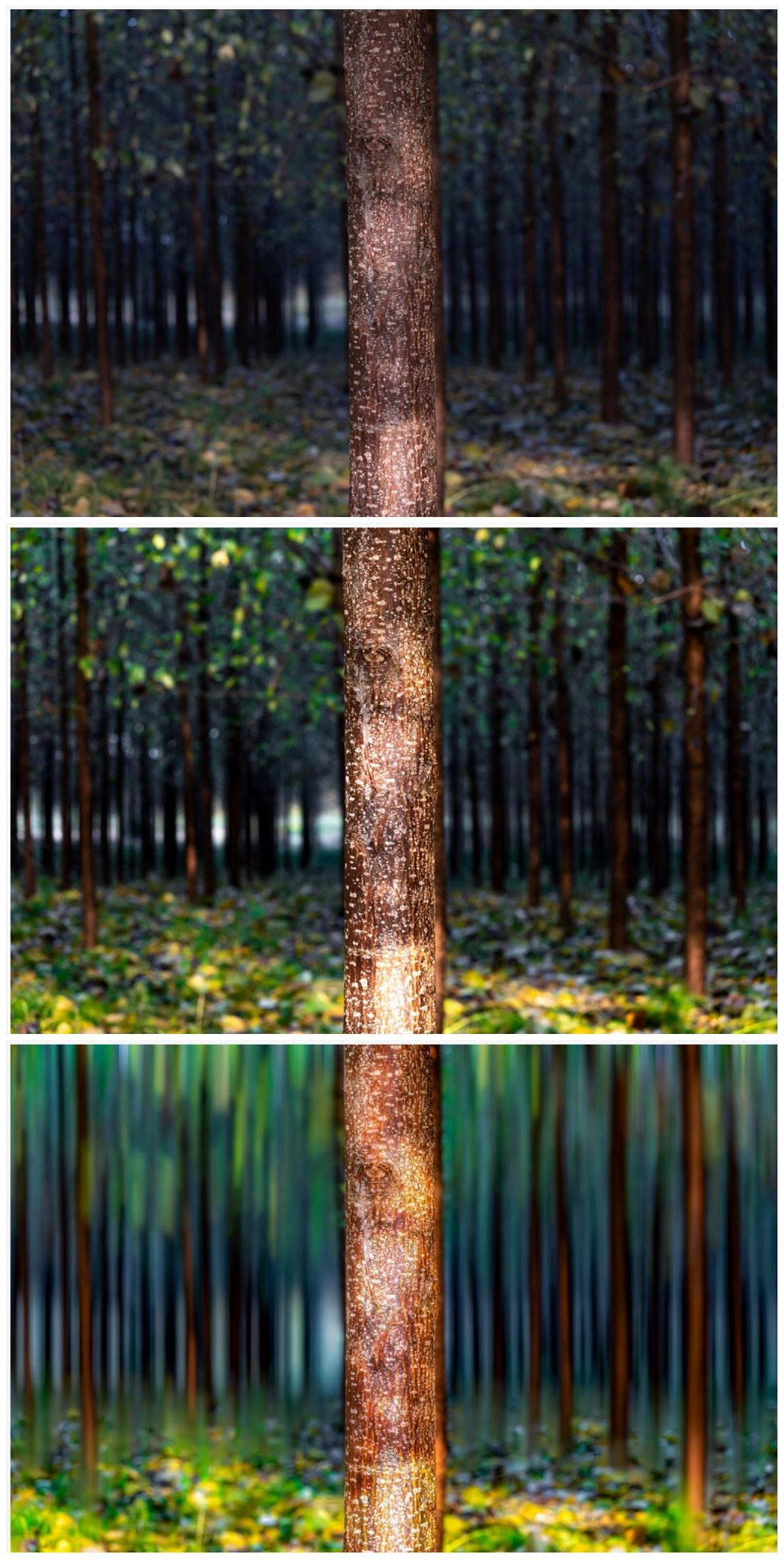 5 Tips for Aspiring Photographers