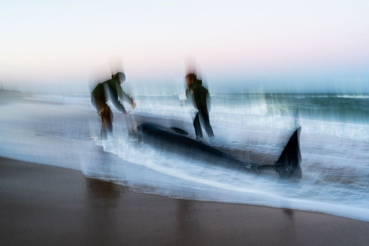Daniel Pullen | Hatteras Island, Outer Banks Photographer