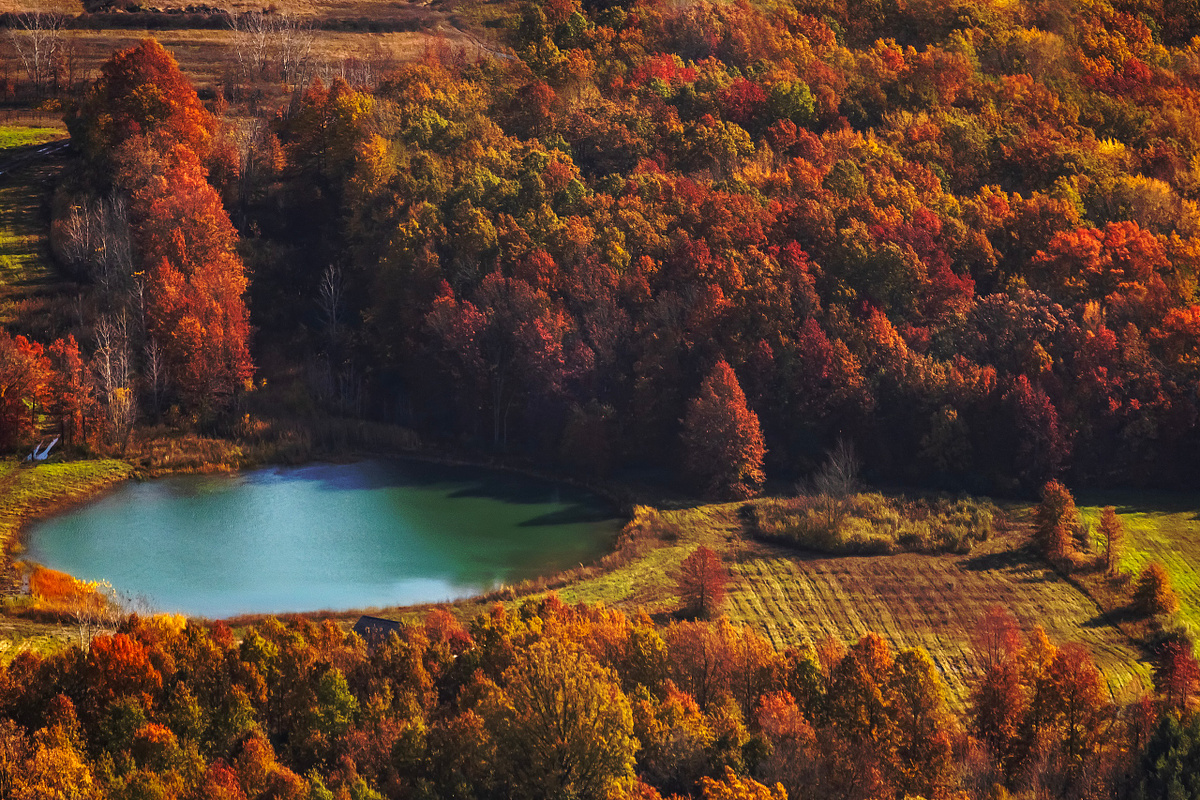Harsens Island Photography | Capturing the Island