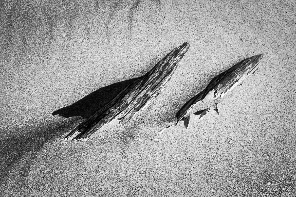 Ilford PAN-F PLUS 50 ISO Black & White film review