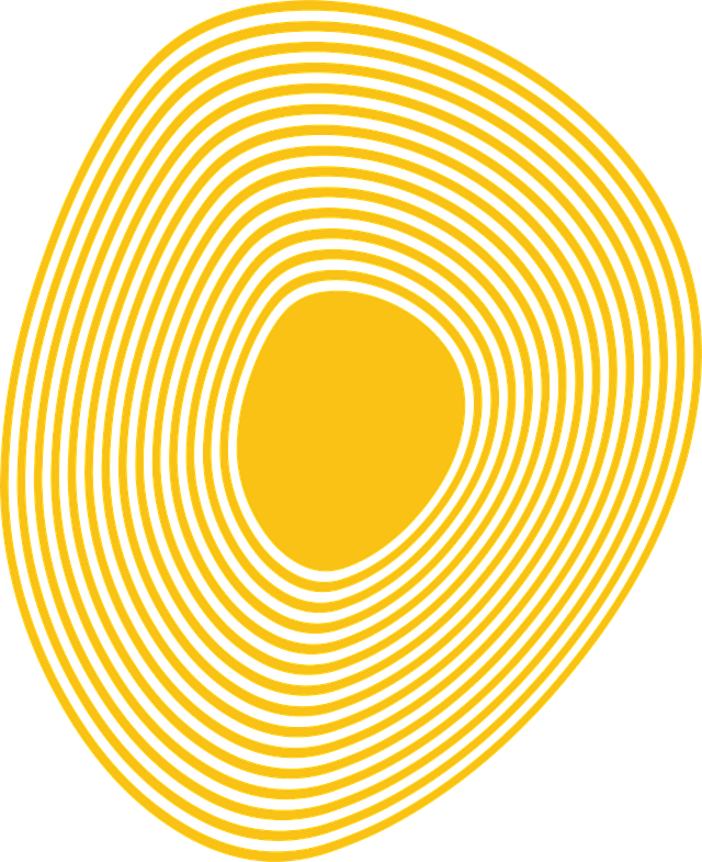 LIAN BAND'S AUSTRALIA TOUR