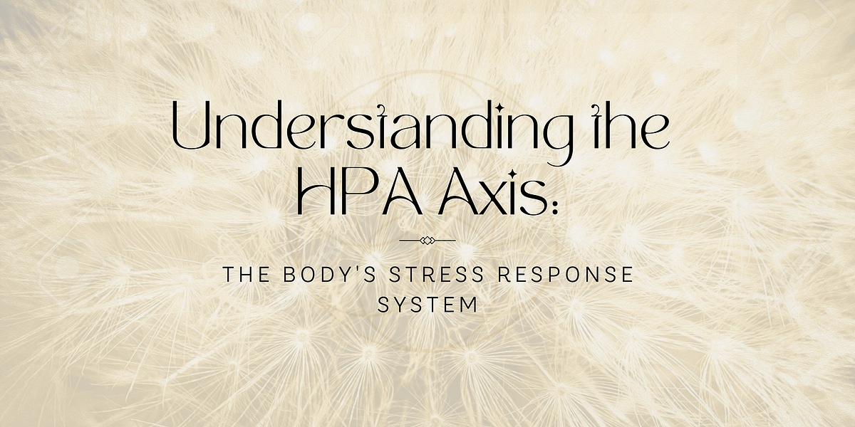 Understanding the HPA Axis: Role in Stress Response and Health