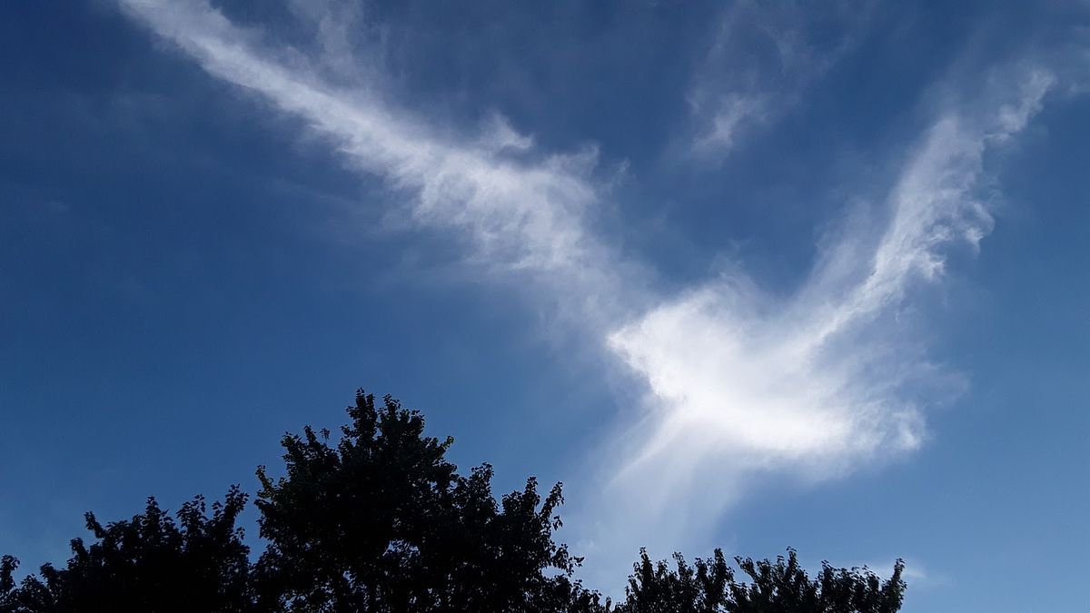 Skillfully Curled Photography Photos by Patsy Rahn