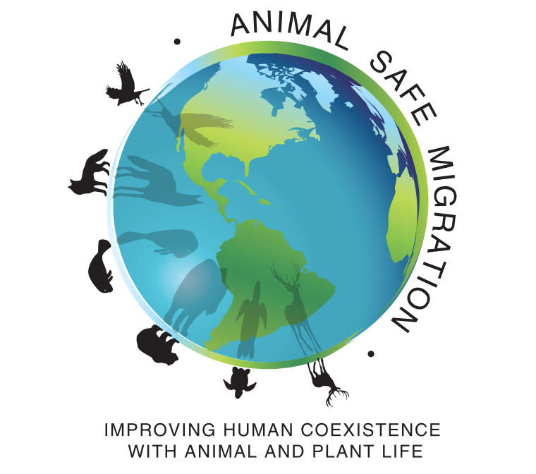 Animal Safe Migration