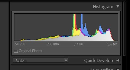 Two Ways To Maximise Image Quality From Your Camera's Sensor