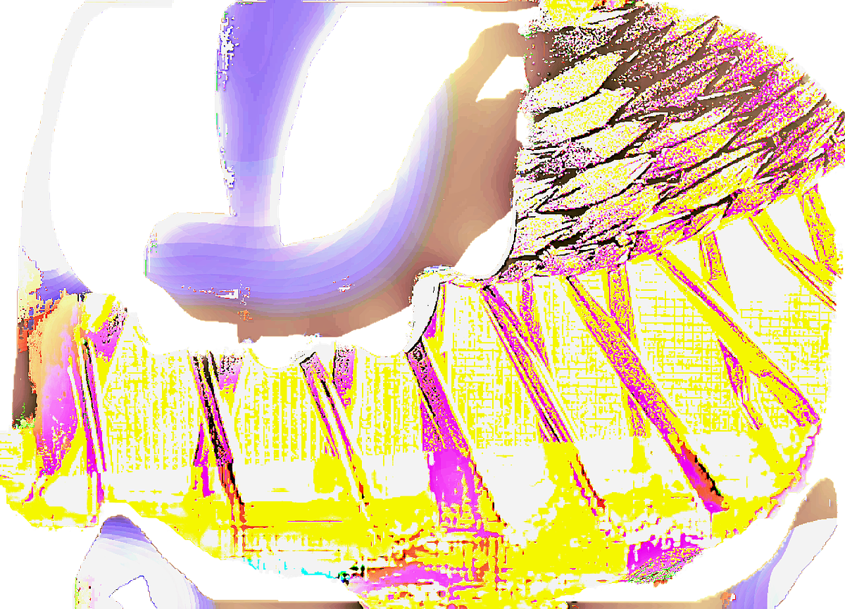 Skillfully Curled Photography.