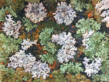 Unique paintings and stitched textile art work inspired by lichen rust ...