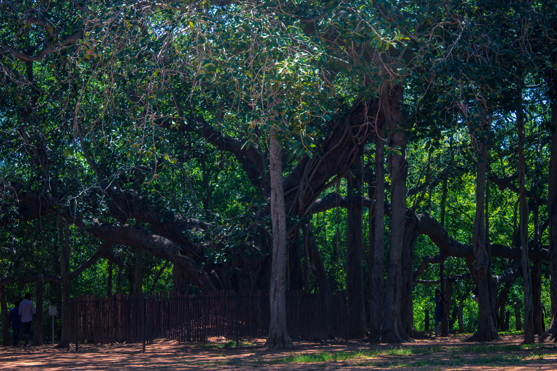amit kagra, Pondicherry - A French Colony, travel & lifestyle photographer