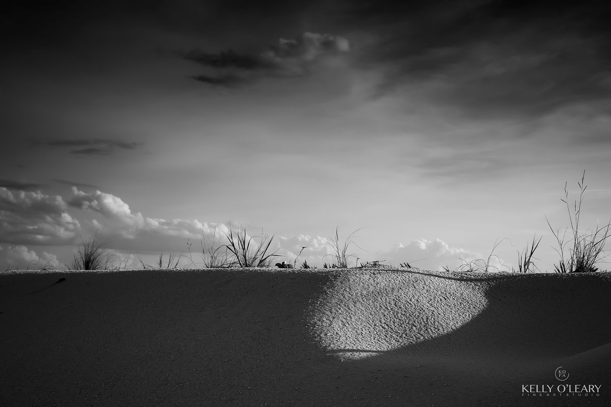 Kelly O'Leary Fine Art | Coastal Quietude