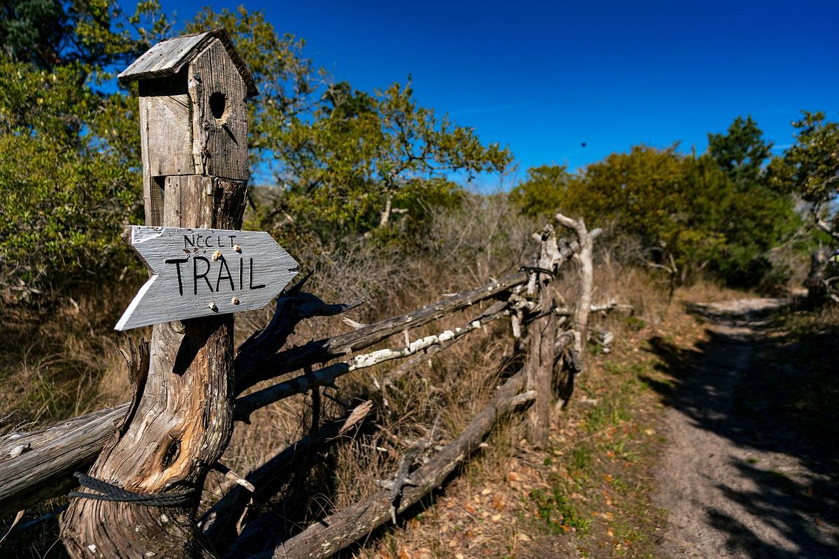 Springing on Ocracoke!