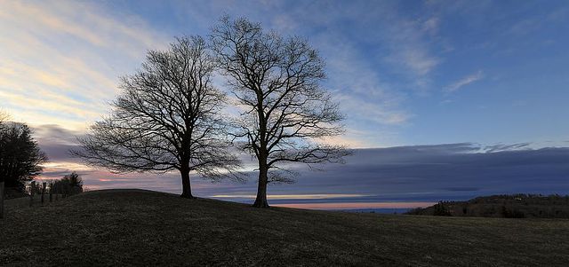 D Rex Miller Photography