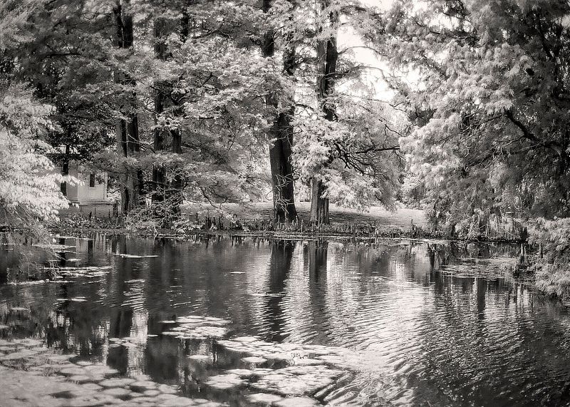 John Mickler Photography