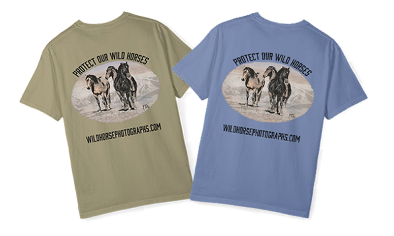 T-shirts, Calendars, and more