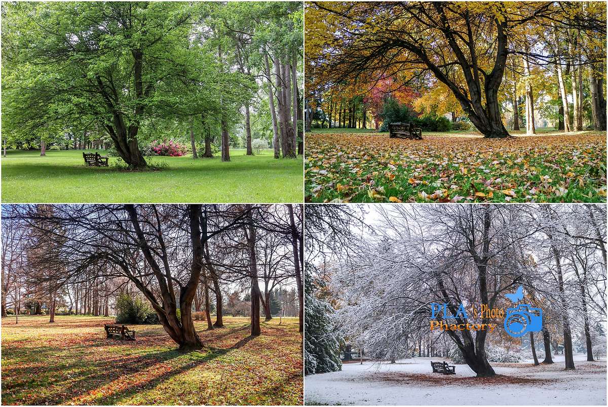 Same place different seasons