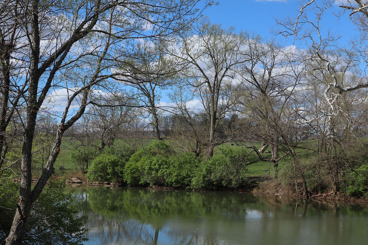 Gallery - A Saturday in The Spring in Kentucky