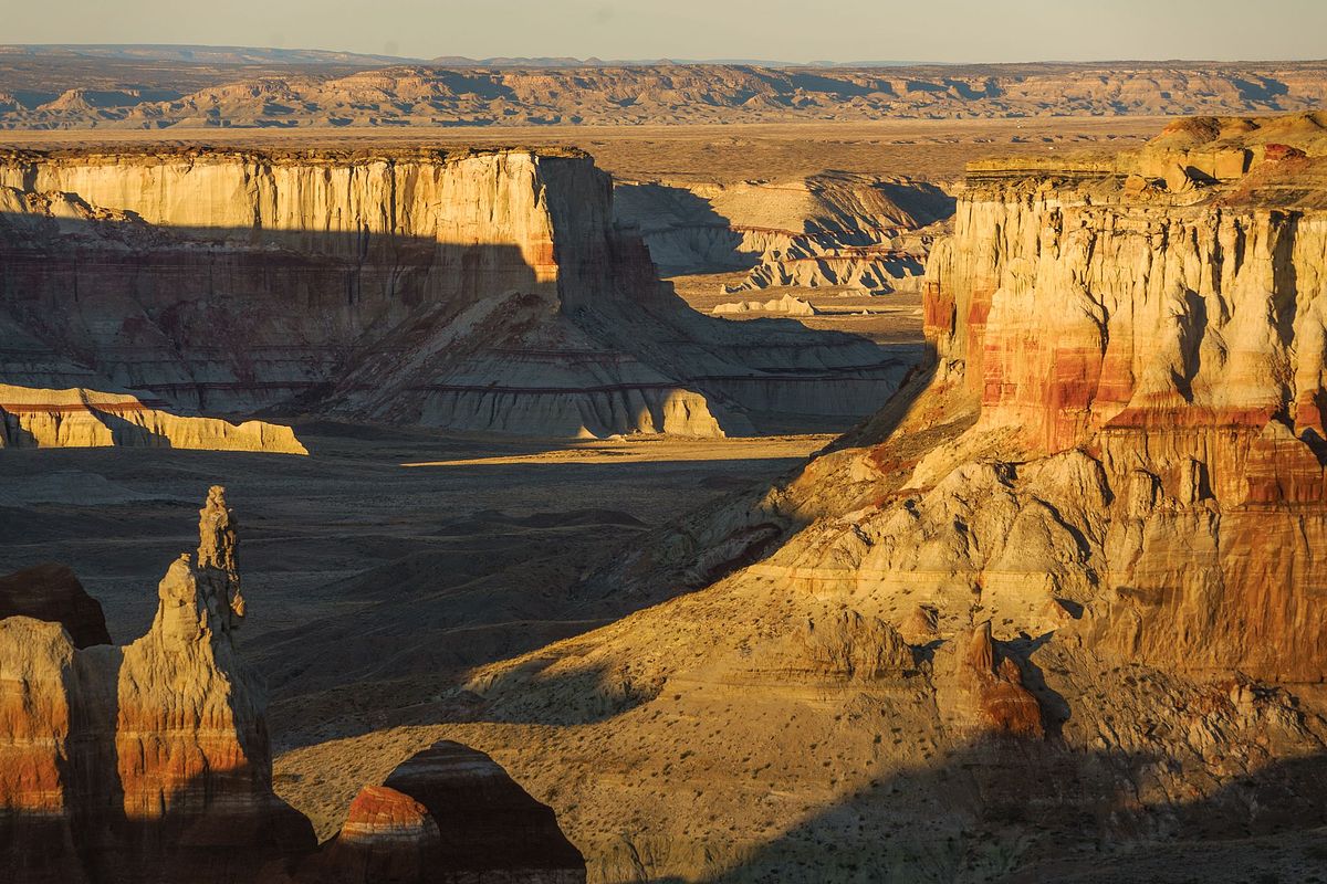 Tom Healy Photography