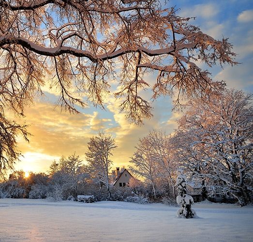 Winter Photography -10 Tips to Master Snow Photography (With Examples)