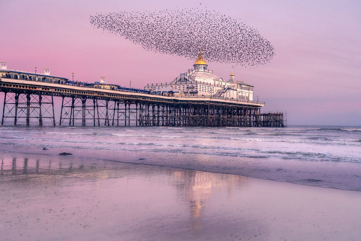 Sussex & Brighton Landscape Photography - Lloyd Lane