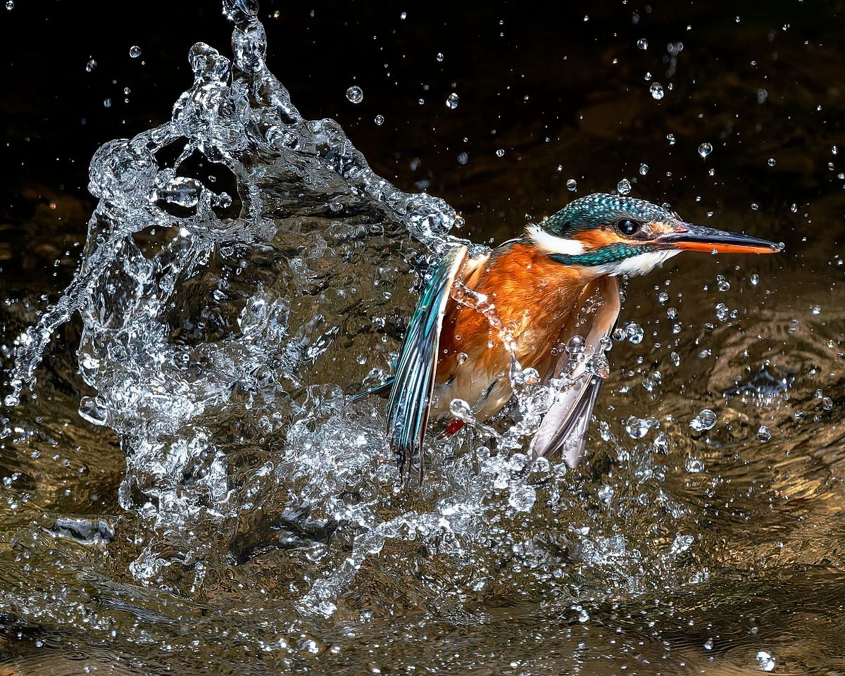 A selection of images from Okinawan based photographer Richard Cook