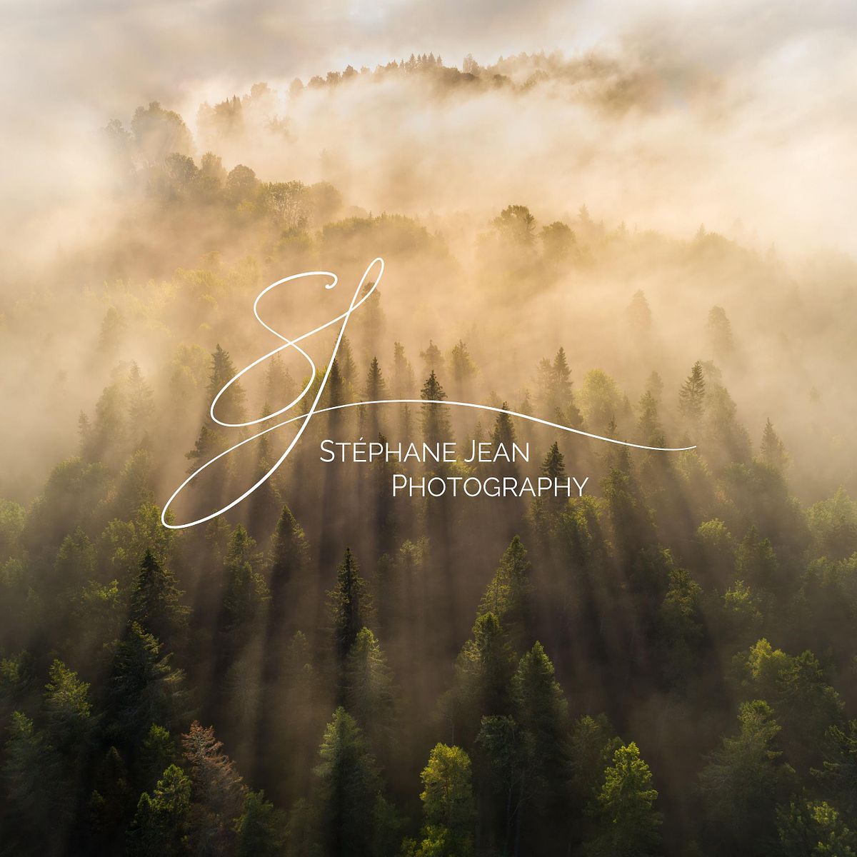 Stéphane Jean Nature Photography