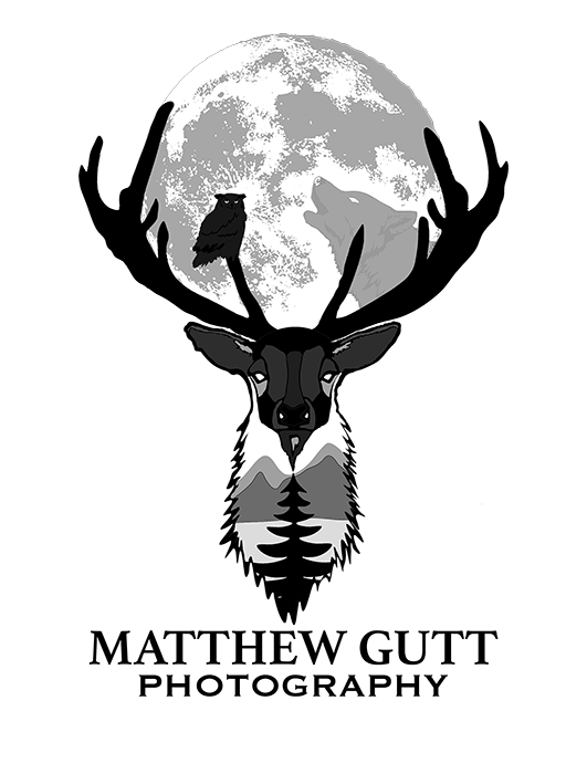 Matthew Gutt Photography