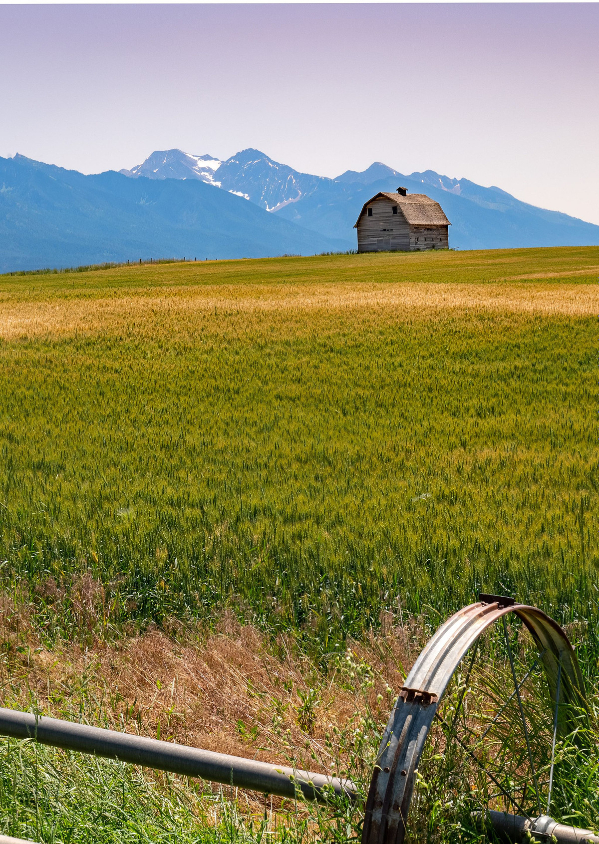 Derek Steele Photography - Great Falls, MT