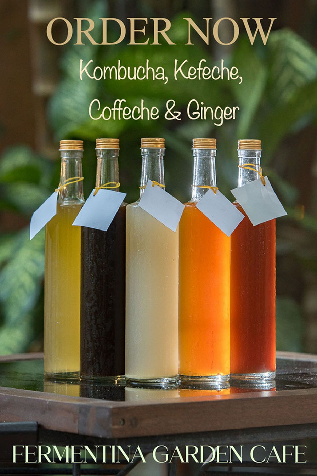 Kombucha, Kefir and Salsa