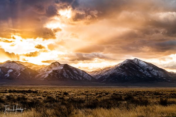 Tom Healy Photography