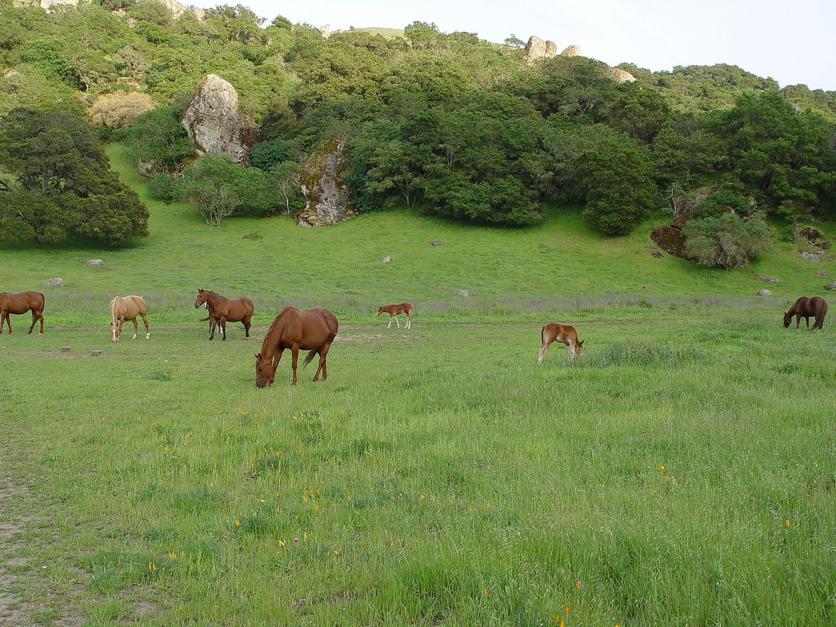 Dan Dunham Gallery | Contact Dan!