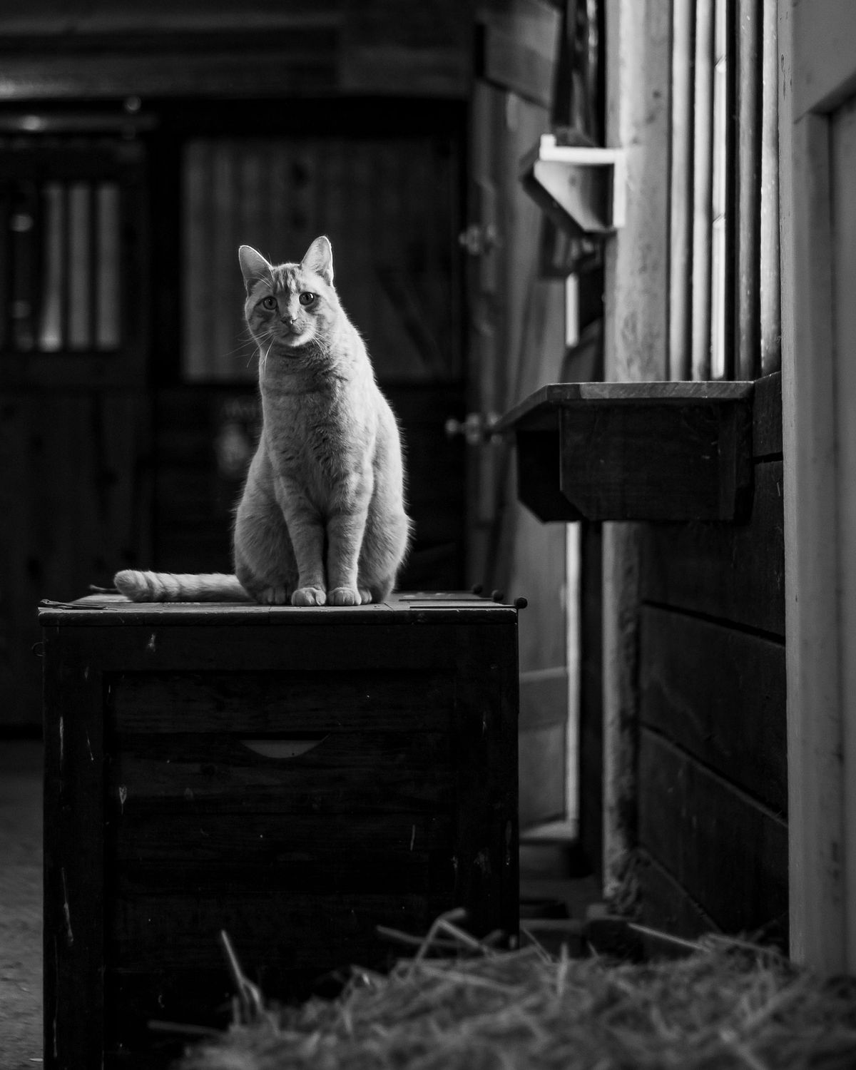 2Lazy2Run Photography - Barry Rauhauser