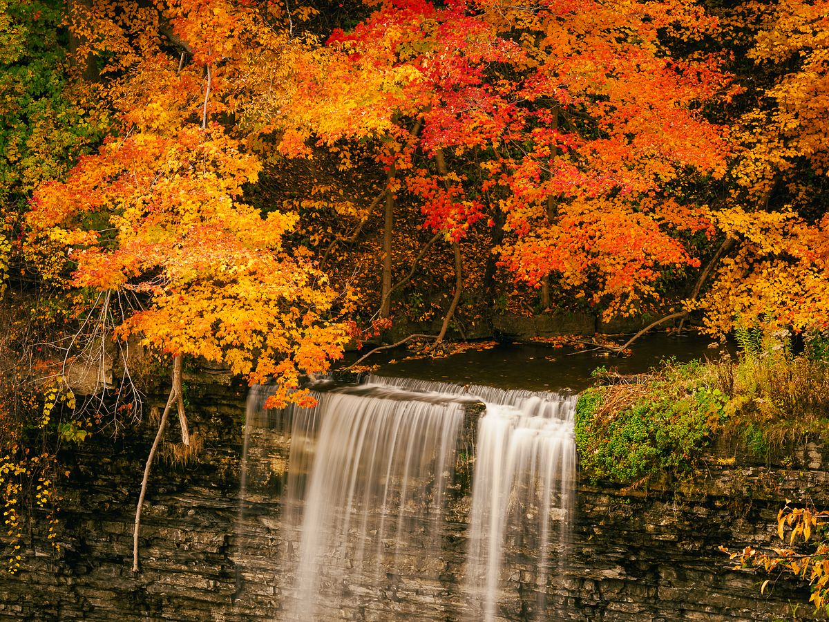 The Nature Photography Blog