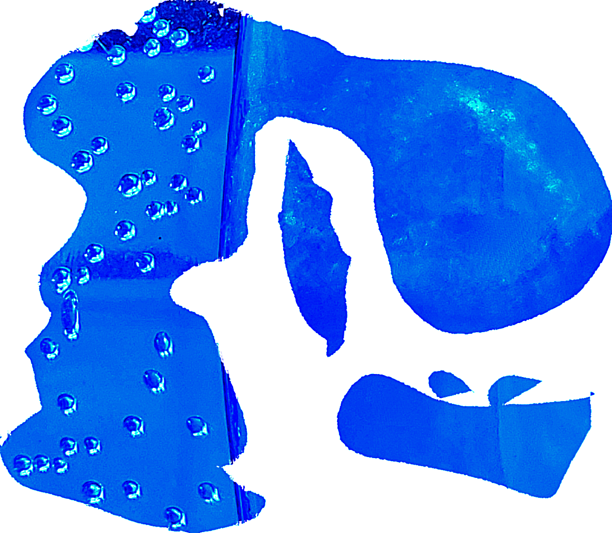 Skillfully Curled Photography.