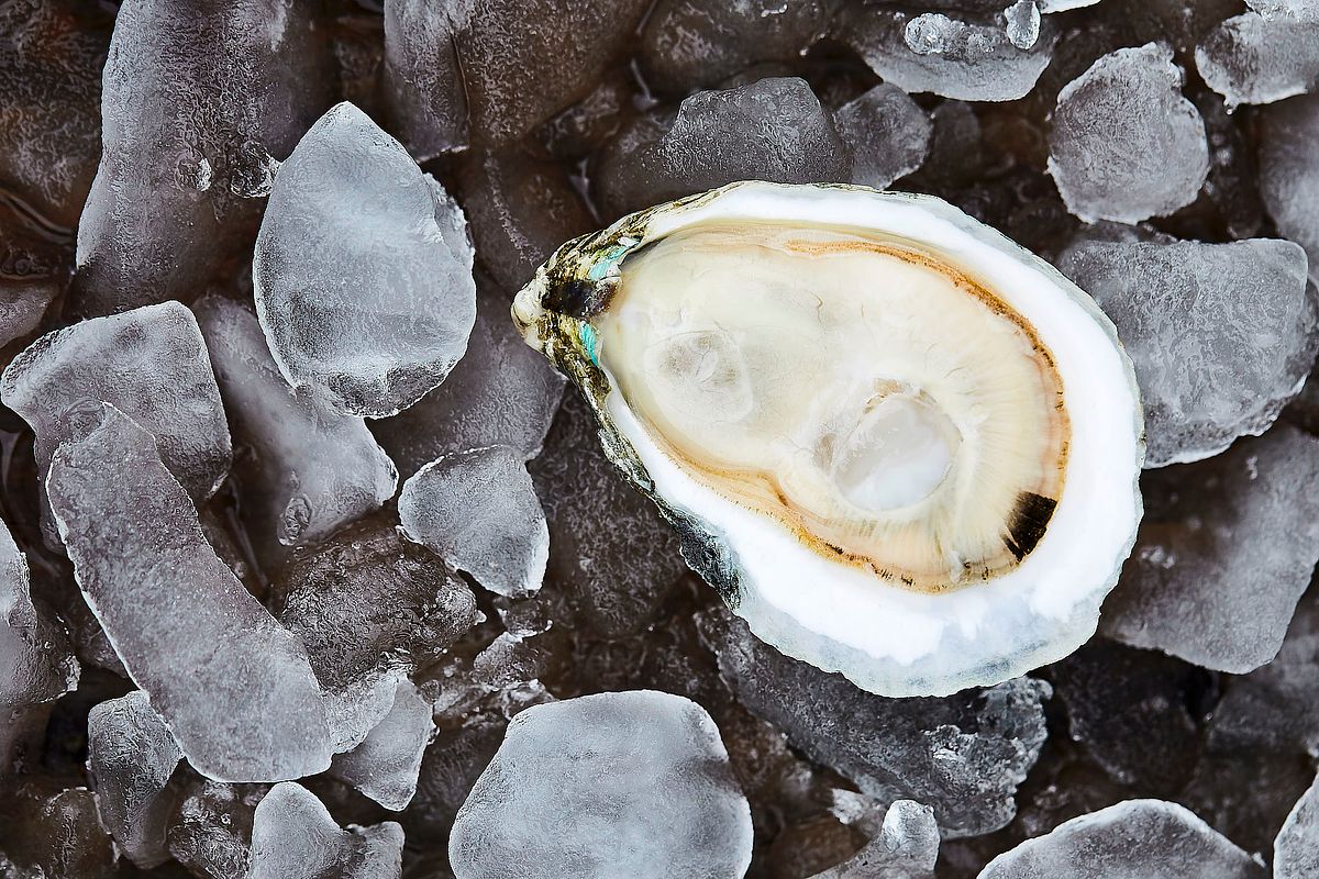 Kieran Wagner Photography, Shucking 101. A video project.