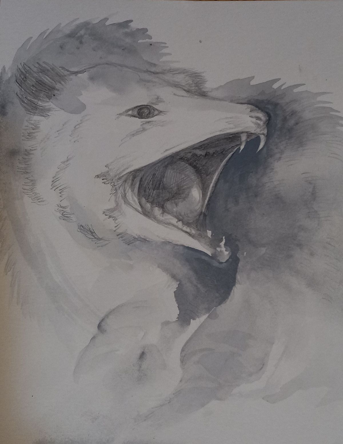 Rufus Jupiter // multidisciplinary artist