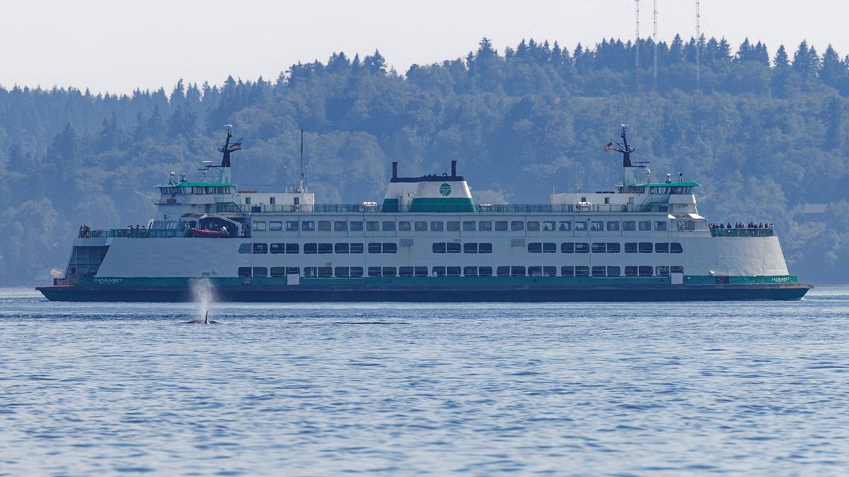 West Seattle Orcas