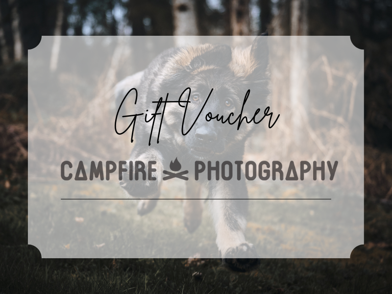 Campfire Photography